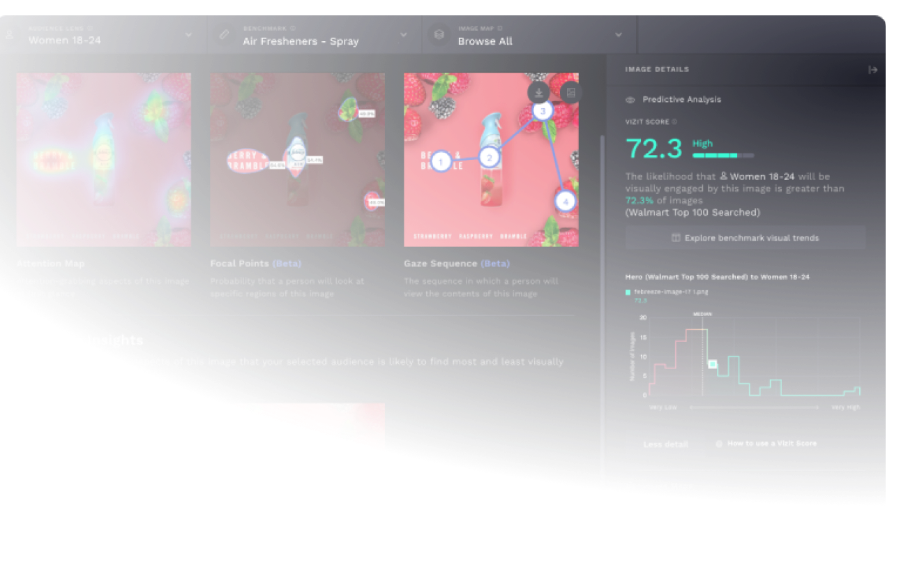 Request a Demo | Vizit